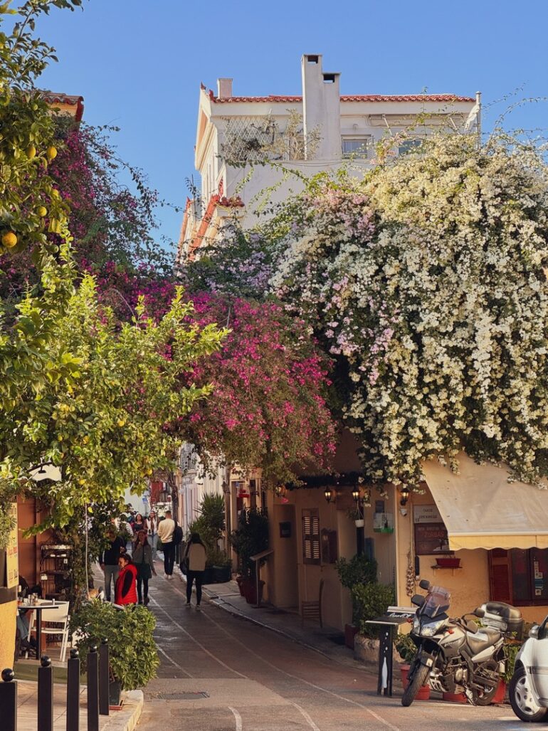 Atina Gezisi Notları: İhtimallerin Heyecanına Üzülüyorum | OitheBlog